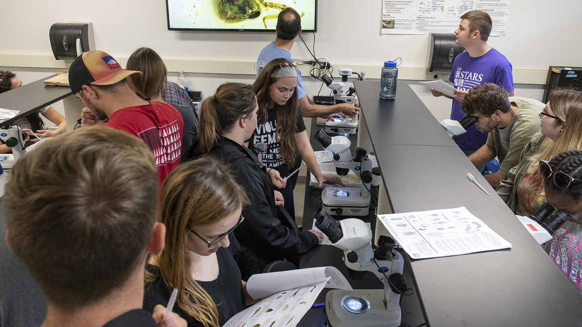 UIS to offer high school students hands-on learning through 2025 Academic Summer Camps ...